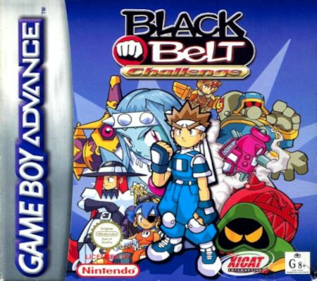Black Belt Challenge Review (Game Boy Advance, 2002) - Infinity Retro